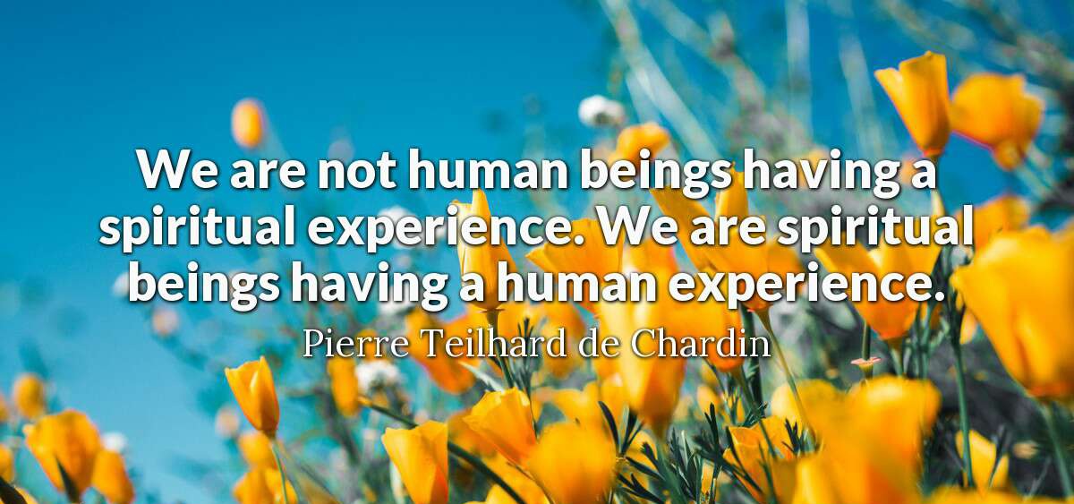 Human Experience – A Butterfly Life